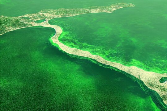 Hypertrophication Bilder – Durchsuchen 2,628 Archivfotos ...