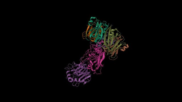 "Typhoid Fever" Bilder – Durchsuchen 2,251 Archivfotos, Vektorgrafiken ...