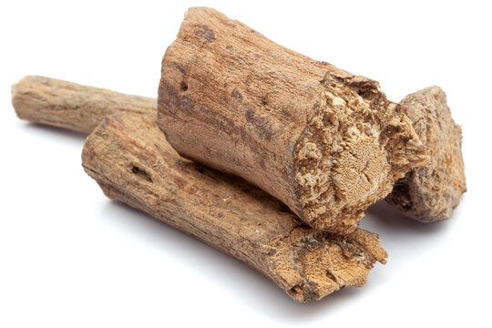 Vidhara Images – Browse 12 Stock Photos, Vectors, and Video | Adobe Stock