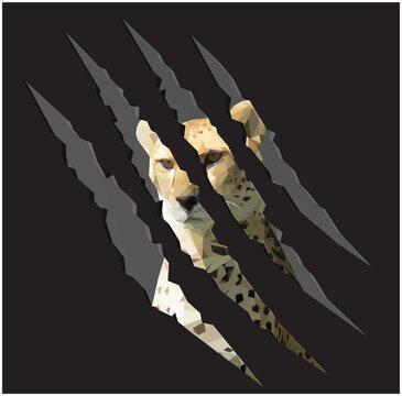 Afbeeldingen over "Claw Marks" – Blader in stockfoto's, vectoren en ...