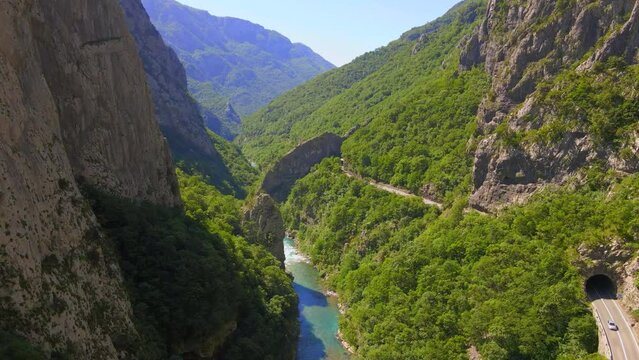 Moracha Images – Browse 238 Stock Photos, Vectors, and Video | Adobe Stock