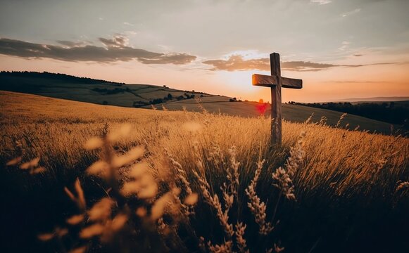 Wooden Cross In Field Images – Browse 7,772 Stock Photos, Vectors, and ...