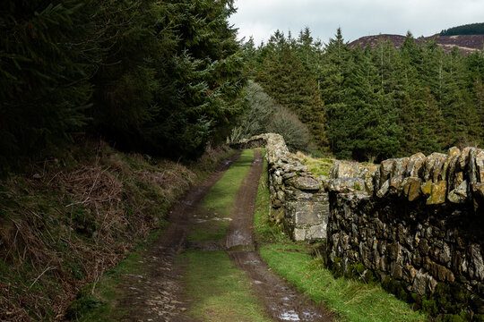 Luggala Bilder – Durchsuchen 136 Archivfotos, Vektorgrafiken und Videos ...