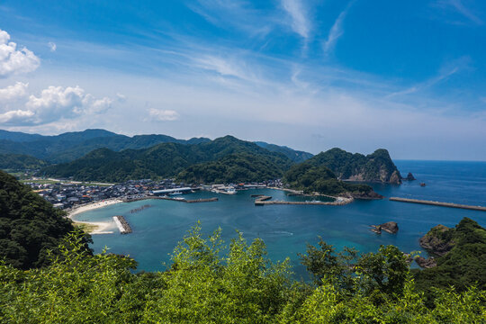 รูปภาพTodai – เลือกดูภาพถ่ายสต็อก เวกเตอร์ และวิดีโอ24,171 | Adobe Stock
