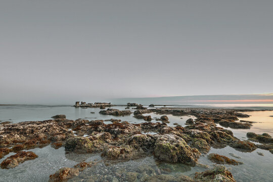 Disownment Bilder – Durchsuchen 495 Archivfotos, Vektorgrafiken und ...