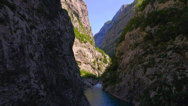 Moracha Images – Browse 210 Stock Photos, Vectors, and Video | Adobe Stock