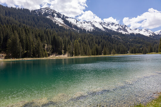 รูปภาพAlpensee – เลือกดูภาพถ่ายสต็อก เวกเตอร์ และวิดีโอ5,218 | Adobe Stock