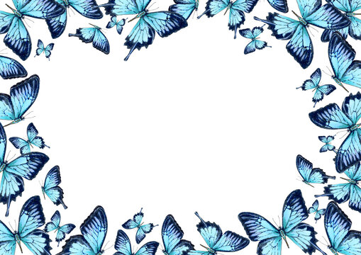 Blue Butterfly Borders