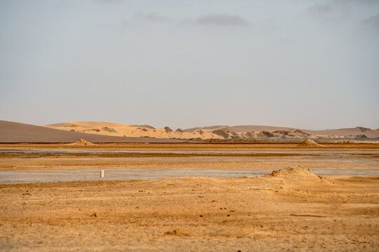 Mudland Bilder – Durchsuchen 65 Archivfotos, Vektorgrafiken und Videos | Adobe Stock