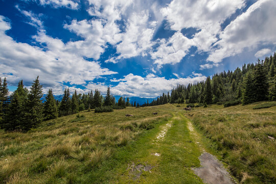 Stefano Meroni photos, images, assets | Adobe Stock