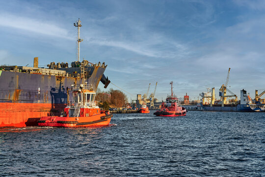 Dwt Bilder – Durchsuchen 255 Archivfotos, Vektorgrafiken und Videos ...