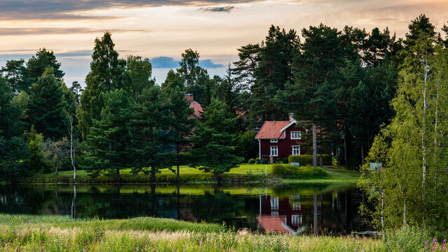 รูปภาพMora – เลือกดูภาพถ่ายสต็อก เวกเตอร์ และวิดีโอ14,880 | Adobe Stock