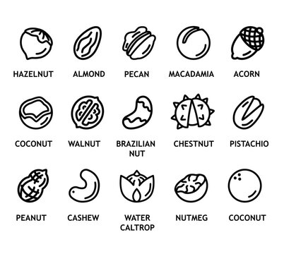 Pecan Logo Bilder – Durchsuchen 1,346 Archivfotos, Vektorgrafiken und ...