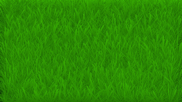"Grass Background" Bilder – Durchsuchen 9,561 Archivfotos, Vektorgrafiken und Videos | Adobe Stock