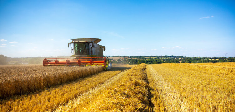 Moisson Bilder – Durchsuchen 16,972 Archivfotos, Vektorgrafiken und ...