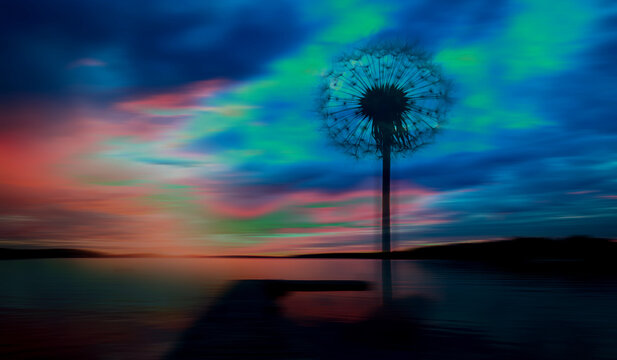 Irrational Bilder – Durchsuchen 7,975 Archivfotos, Vektorgrafiken und Videos | Adobe Stock