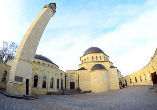 Tatarka-Bilder: Stock-Fotos & -Videos. | Adobe Stock