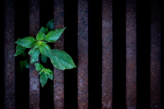 Denouncement-Bilder: Stock-Fotos & -Videos. | Adobe Stock