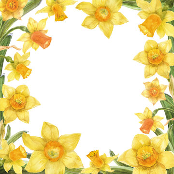Daffodils Frame Bilder – Durchsuchen 10,582 Archivfotos, Vektorgrafiken ...