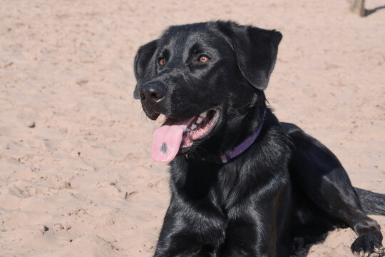 Kruising Images – Browse 37 Stock Photos, Vectors, and Video | Adobe Stock