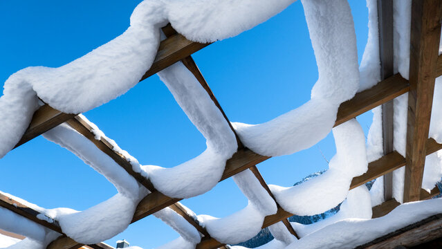 Cadaverin Bilder – Durchsuchen 92,930 Archivfotos, Vektorgrafiken und ...