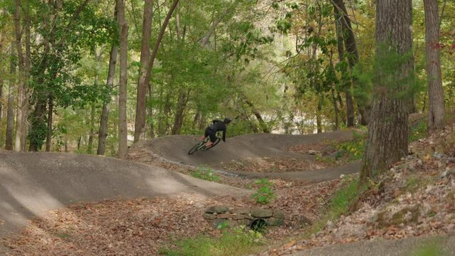 Batty Images – Browse 806 Stock Photos, Vectors, and Video | Adobe Stock