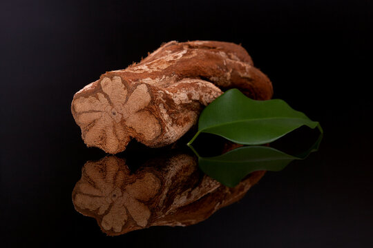 "Banisteriopsis Caapi" Images – Browse 207 Stock Photos, Vectors, and ...