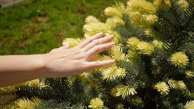 "Super Slow-Motion" Imagens – Procure 344 fotos, vetores e vídeos ...