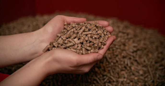 รูปภาพSolid-Fuel – เลือกดูภาพถ่ายสต็อก เวกเตอร์ และวิดีโอ365 | Adobe Stock