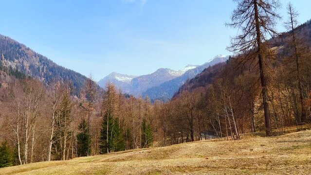 รูปภาพMogno – เลือกดูภาพถ่ายสต็อก เวกเตอร์ และวิดีโอ527 | Adobe Stock