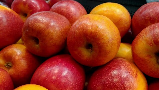 Apel Images – Browse 581 Stock Photos, Vectors, and Video | Adobe Stock