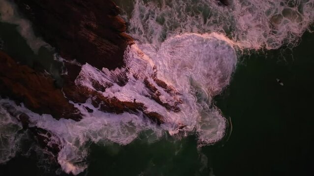 "Snapper Rocks" Images – Browse 637 Stock Photos, Vectors, and Video ...