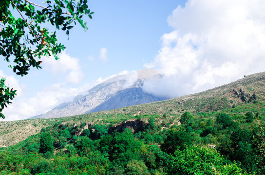 Tepelene Images Browse 47 Stock Photos Vectors And Video Adobe Stock