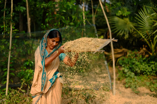 Winnowing Imagens – Procure 24,560 fotos, vetores e vídeos | Adobe Stock