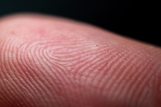 รูปภาพFingermark – เลือกดูภาพถ่ายสต็อก เวกเตอร์ และวิดีโอ5,751 | Adobe ...