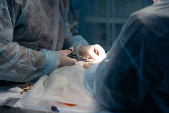 Op-Leuchte Bilder – Durchsuchen 2,654 Archivfotos, Vektorgrafiken und ...