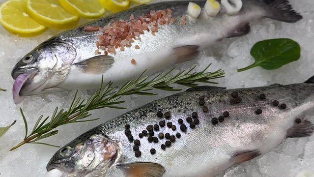 Brook Trout Scales Images – Browse 223 Stock Photos, Vectors, and Video ...