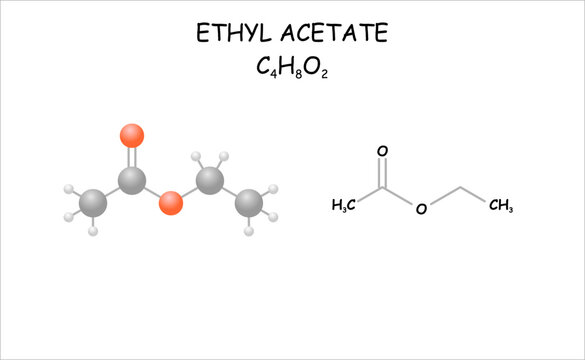 C4h8o2 Lewis Structure
