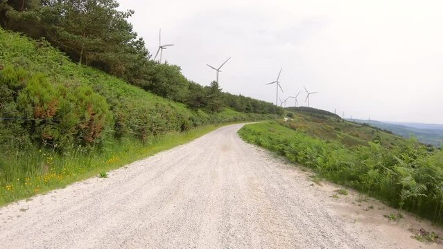 Camba Images – Browse 50 Stock Photos, Vectors, and Video | Adobe Stock