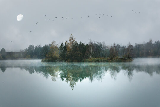 รูปภาพMollify – เลือกดูภาพถ่ายสต็อก เวกเตอร์ และวิดีโอ36,661 | Adobe Stock