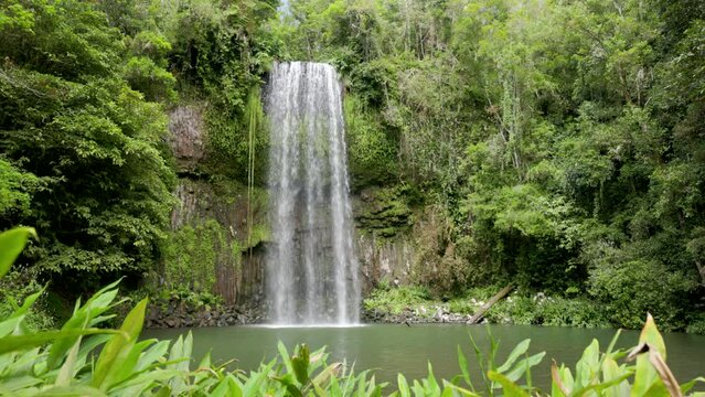Atherton Images – Parcourir 1,399 le catalogue de photos, vecteurs et ...