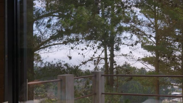 "Cupping Therapy" Images – Browse 6,654 Stock Photos, Vectors, and ...