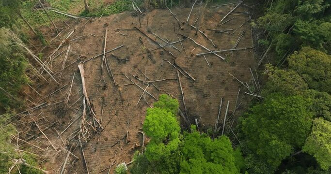 "Subsistence Farming" Images – Browse 2,391 Stock Photos, Vectors, and ...