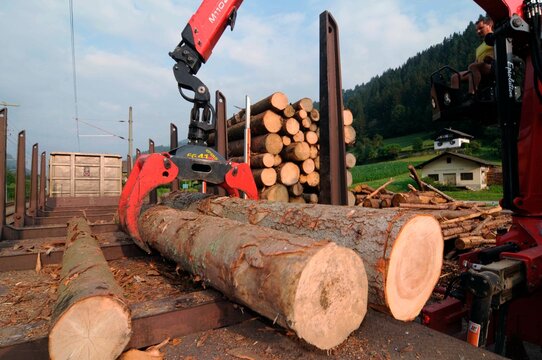 รูปภาพVerladekran – เลือกดูภาพถ่ายสต็อก เวกเตอร์ และวิดีโอ469 | Adobe Stock