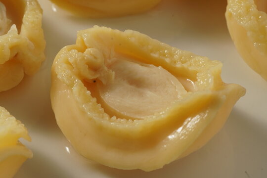 Abalone Food Templates – Free Editable Designs | PikWizard