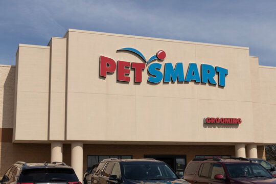 Petsmart-Bilder: Stock-Fotos & -Videos. | Adobe Stock
