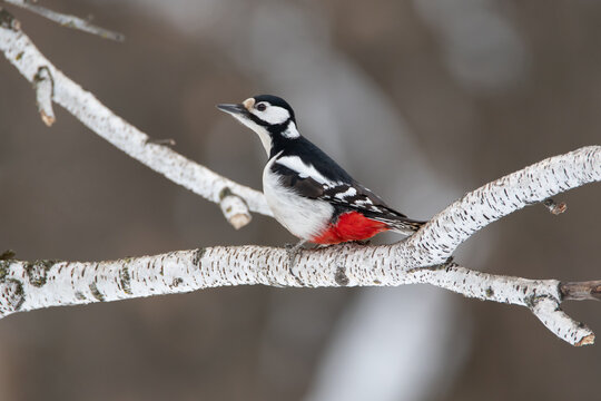 alex_bor photos, images, assets | Adobe Stock