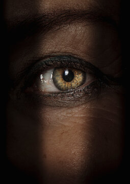 รูปภาพAchluophobia – เลือกดูภาพถ่ายสต็อก เวกเตอร์ และวิดีโอ260 | Adobe ...