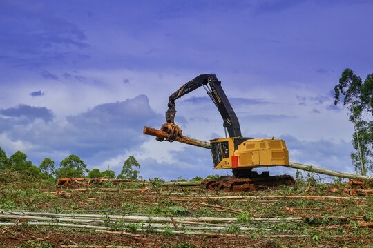 "Logging Machine"-Bilder: Stock-Fotos & -Videos. | Adobe Stock
