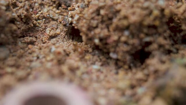 Swarming Images – Parcourir 463,964 le catalogue de photos, vecteurs et ...